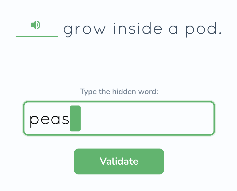What’s New for Typing Pal in 2024?